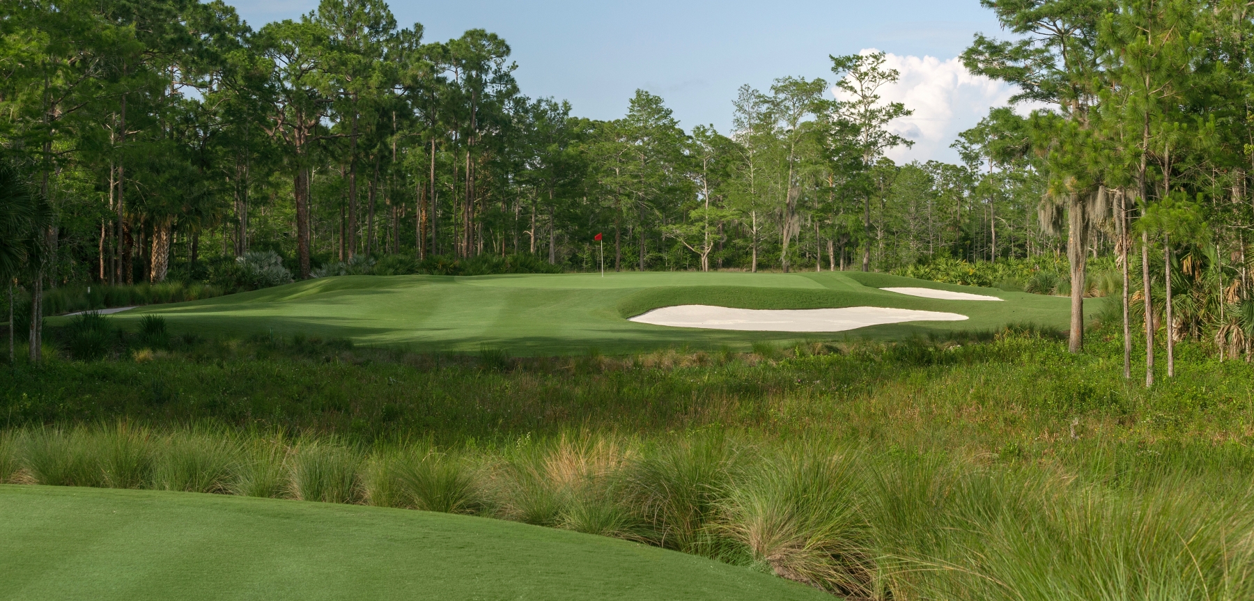 Golf Course Architect - Golf Course Design - J Drew Rogers, ASGCA